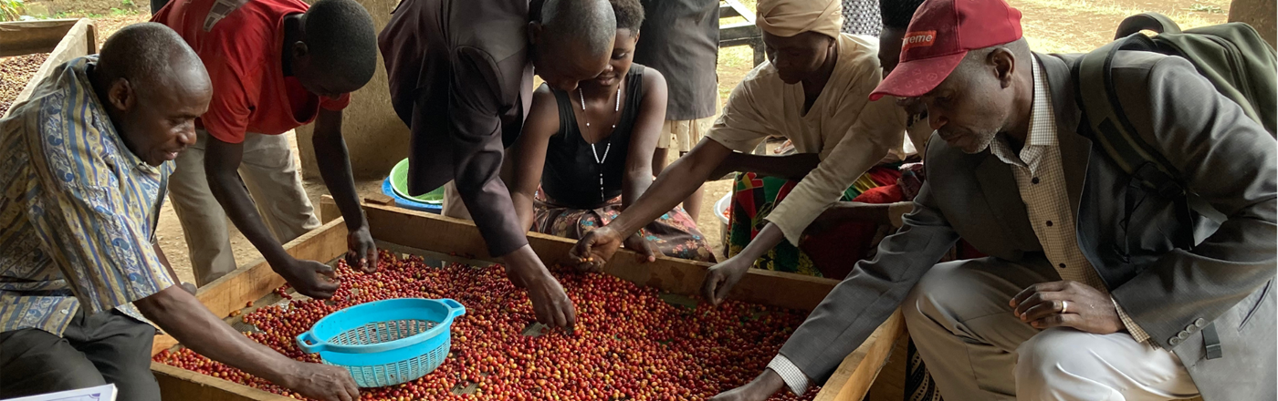 Progreso: “A sustainable, transparent coffee and cocoa chain is ...